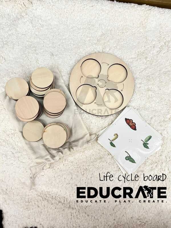 Wooden PH Life Cycle Board Metamorphosis Preschool / Homeschool Early ...