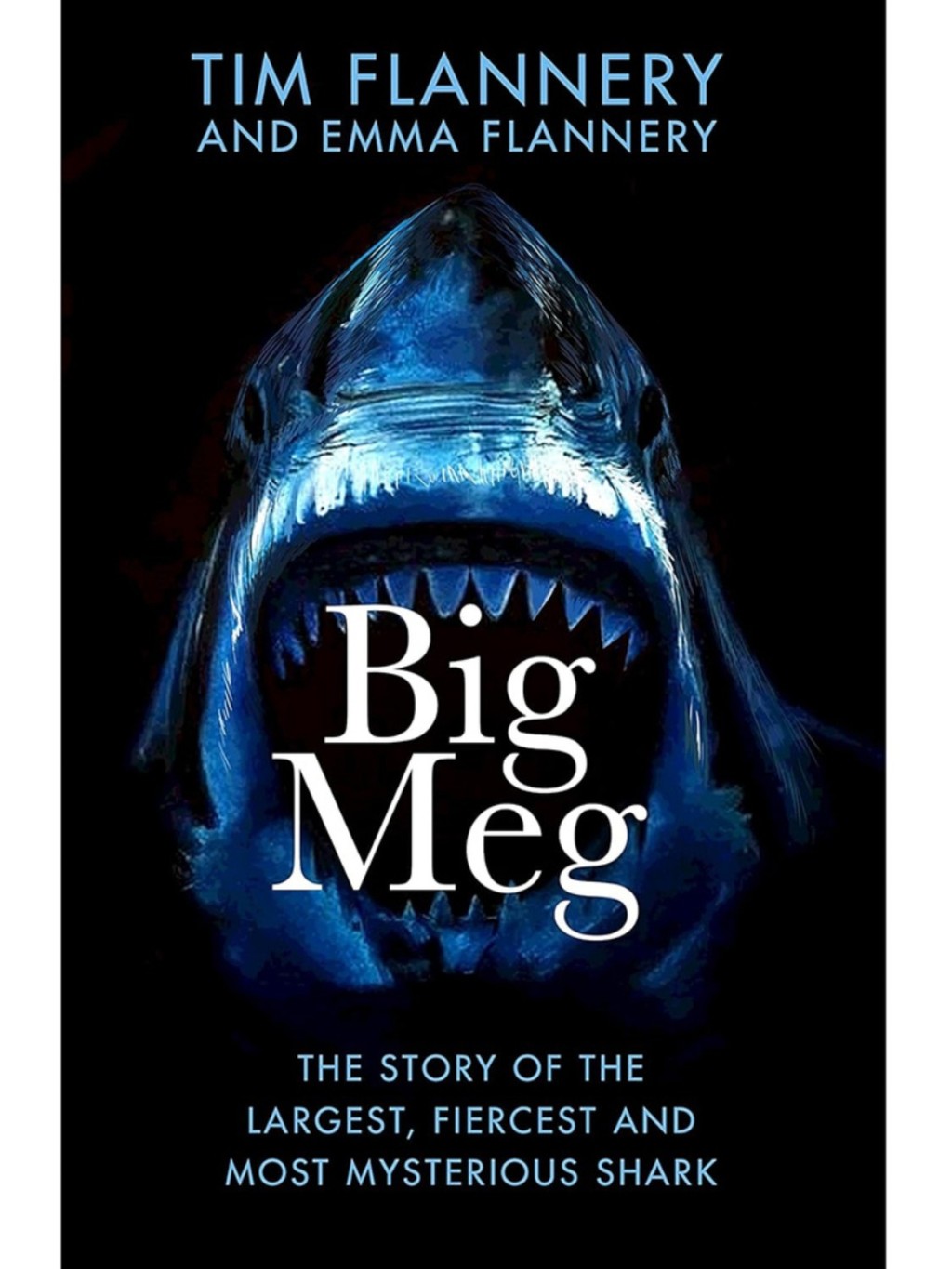 English Hardcover Big Meg Big Meg The Ferocious and Mysterious Shark ...