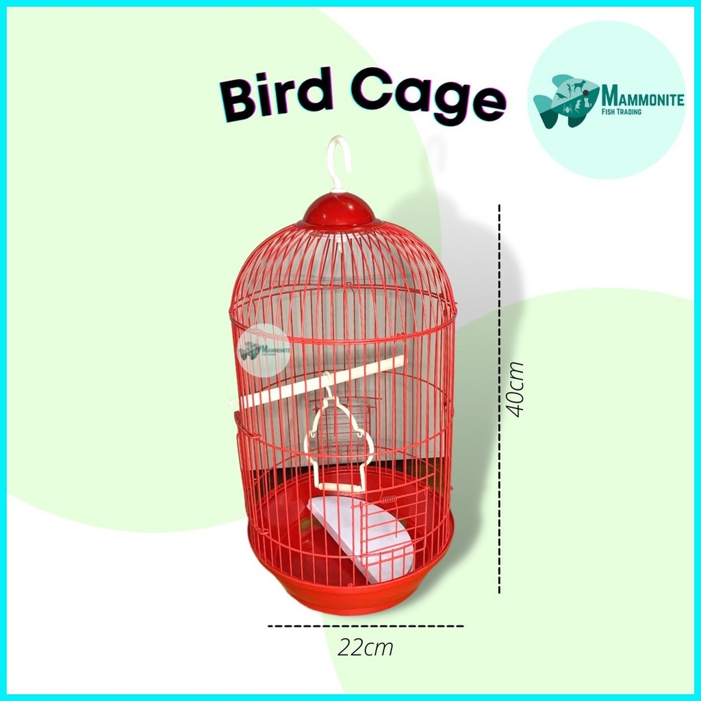 Pet Bird Cage with Swing Perch Bird Cage Pet Cage for Birds with Swing ...