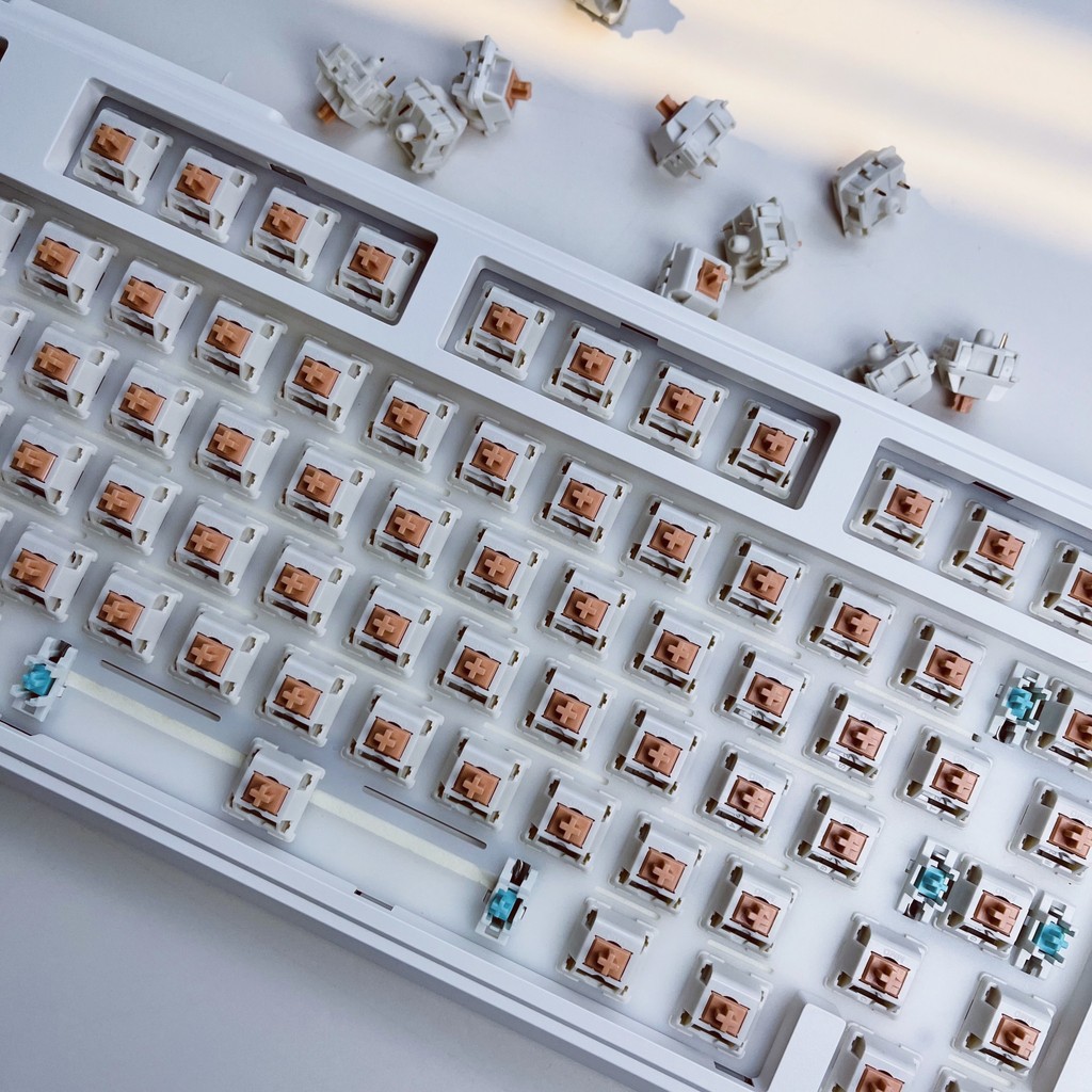 MMD Holy Panda V2 Prelubed Switch Tactile Switch 55g POM Switch ...