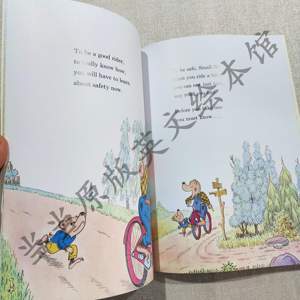 THE BIKE LESSON Bicycle Lesson Dr. Seuss Original English Picture Book ...