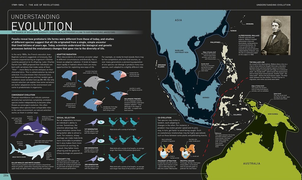 In Stock DK Original Science: Year By Year Science Yearbook Visual ...