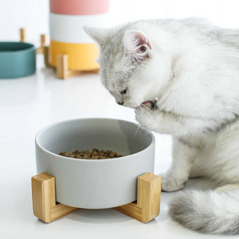 Ceramic Cat Bowl Cat Food Bowl Cat Food Bowl Dog Bowl Dog Bowl Drinking ...