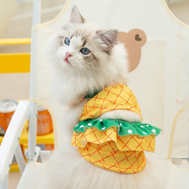 Dog Swimsuit Pineapple Shape Bikini Sling Swimwear Pet Dog Clothes ...