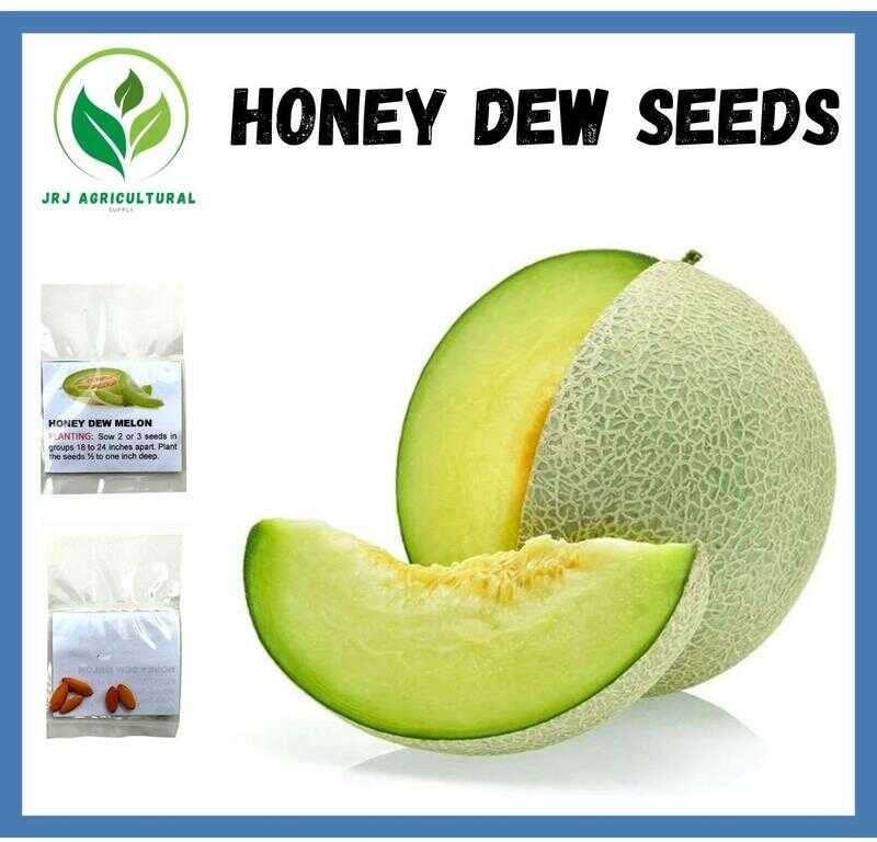 Honey Dew Melon ( 5Pcs Seeds ) - 1Pack 9Eb ab9 | Shopee Philippines