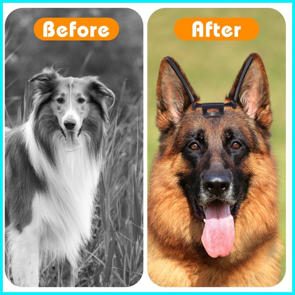 Dog Ear Lifter Dog Ear Correction Lifter Dog Ear Raise Tool For ...