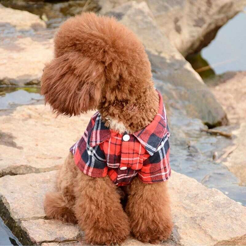 Piece Kgjv 1 Of Ordinary Shirt, Dog Dress, Soft Pet Suitable For Dogs ...