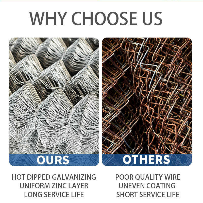 6M Cyclone Wire Gaanized Pvc Coated Wire Chain Link Bakod Gate Door ...