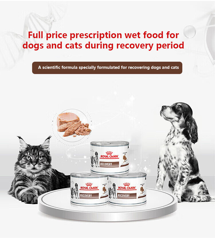 Royal Canin Recovery Canine & Feline Canned Food 195g Per Can High ...