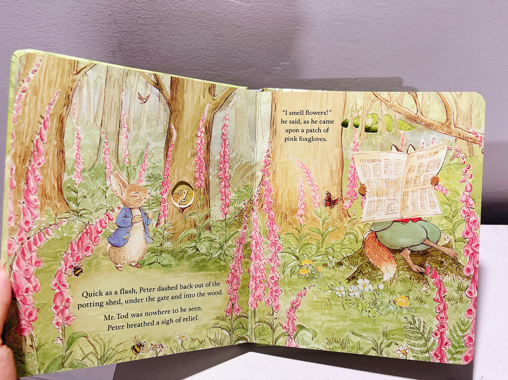 The Story of Peter Rabbit English Picture Book PETER RABBIT A PEEP ...