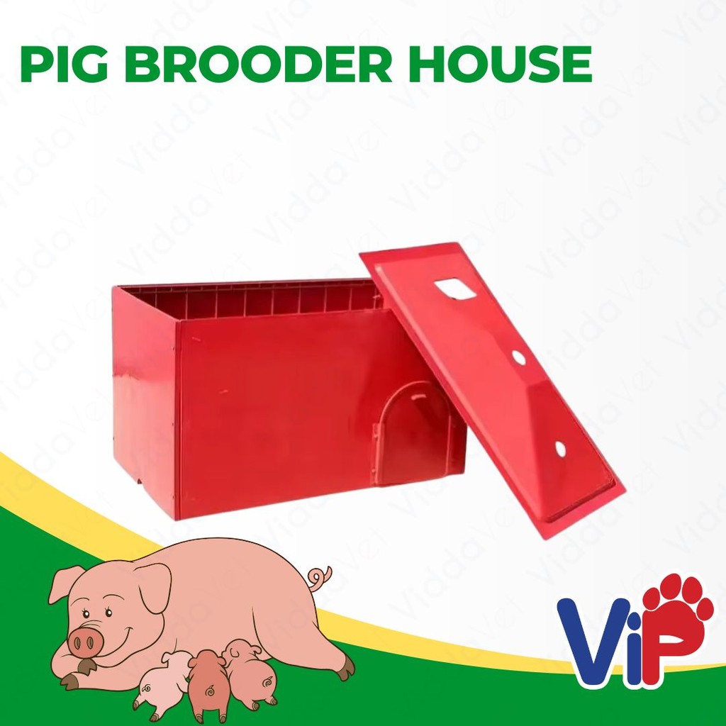 Plastic Incubator for Swine/piglet/lamb/dog/pet/ Baby Animal Equipment ...