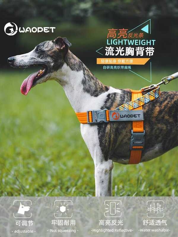 Summer Breathable Flat Rope Explosion-Proof Puppy Reflective Chest ...