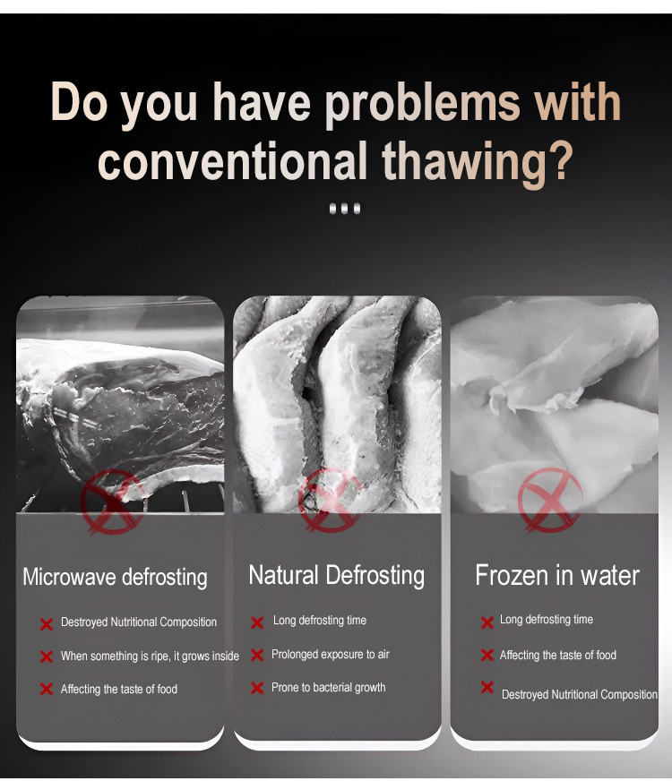 【6-In-1 Atomized Quick Thawing Artifact】Kitchen Quick Thaw Machine/Meat ...