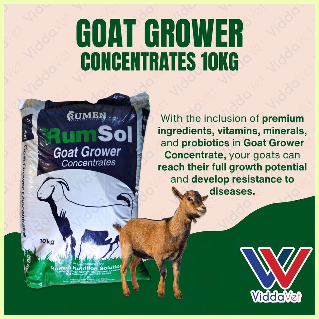 10KG Fast-Acting Nutrition for Growing Goat Kids RUMSOL Nutritional ...