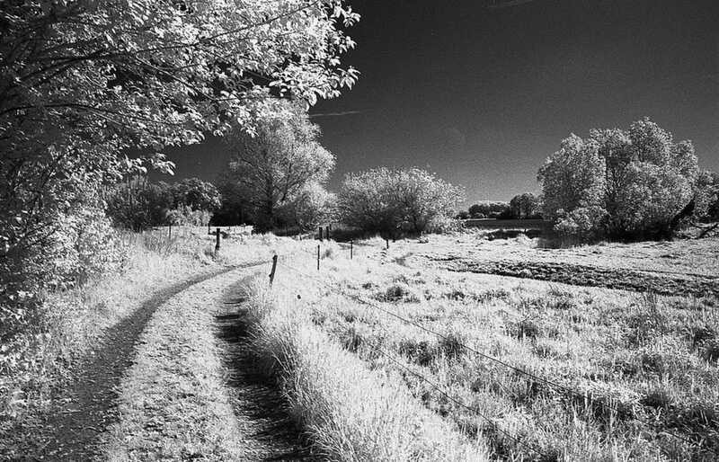 Infrared Rollei 135 36 Exposures Black And White Infrared Film ISO 400 ...