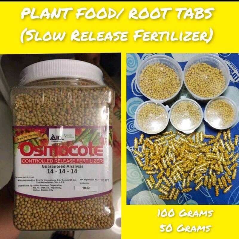 Root Tabs/ Food For Terrestrial And Aquatics Plant (Not In Capsule) 729 ...