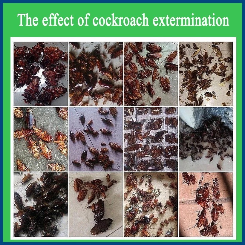 ♀ Cockroach Gel Bait Killer Insect pesticide control powder killing ...