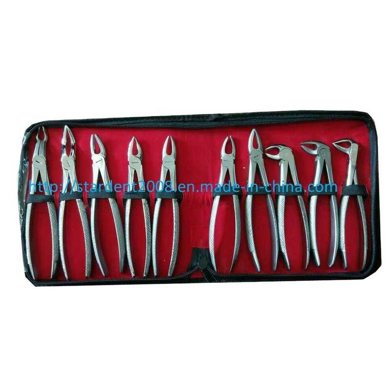 Steel Dental Stainless Instrument Extraction Tooth Forceps 10 PCS Set ...