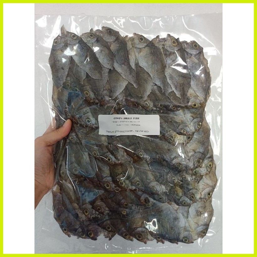 Unsalted DANGGIT from Cebu (250g - 500g) | Shopee Philippines