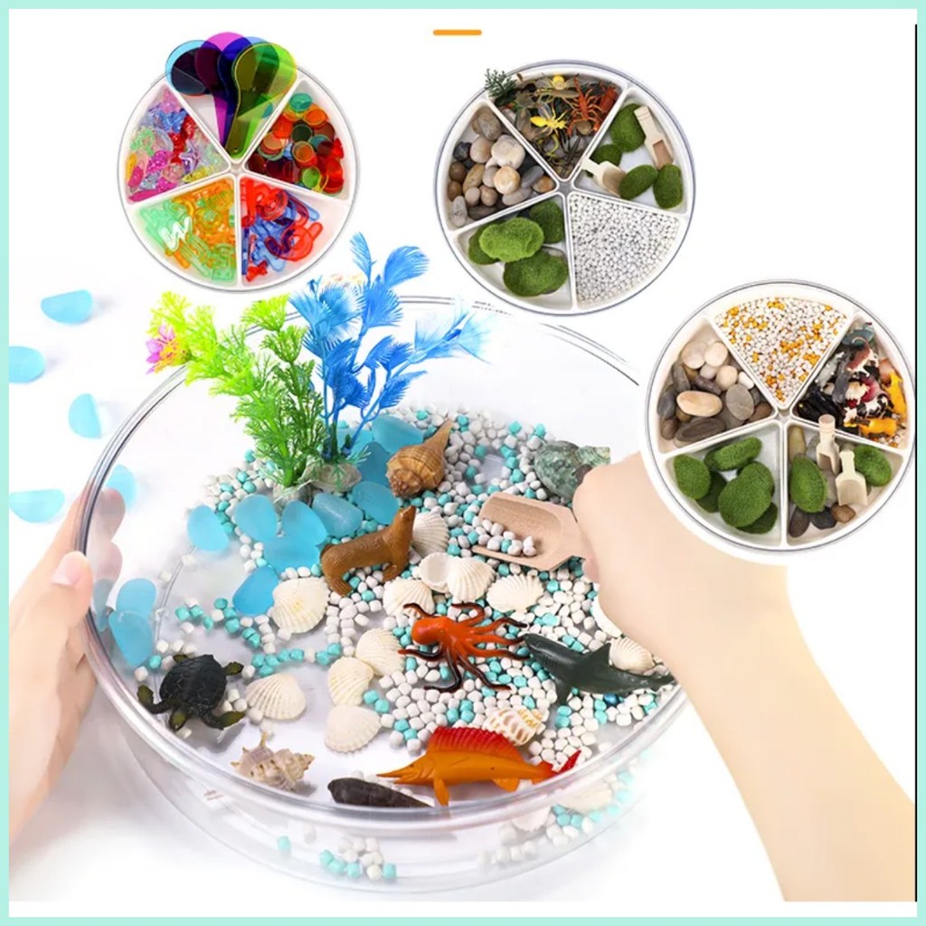 EducratePH Sensory Play Tray (multi purpose loose part storage tray ...