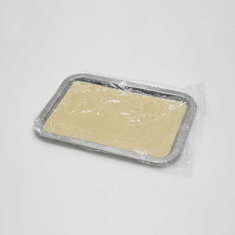 Wax Laboratory Dissection Tray Biological Specimen Tray Biological ...