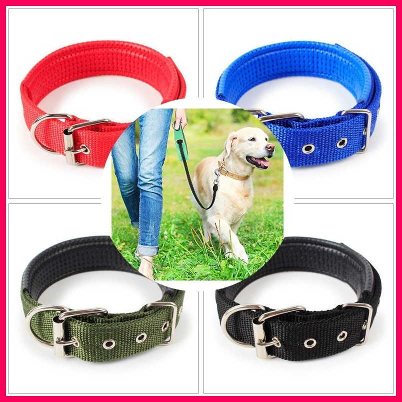 Dog Collar Adjustable Personalized Dogs Padded Collars Reflective Tag ...
