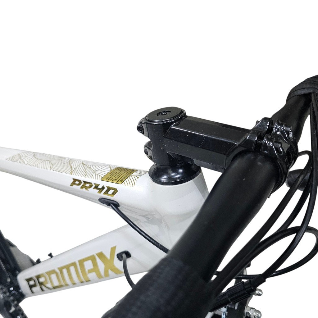 PROMAX PR40 AERO ROAD BIKE PR-40 ROADBIKE RB BICYCLE | Shopee Philippines