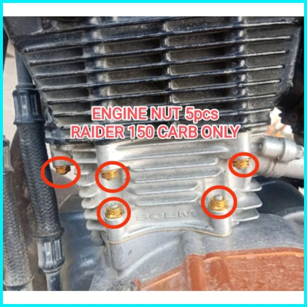 RAIDER 150 CARB/ Fi CNC BOLTS - SC SIAM THAILAND Stainless Steel White ...