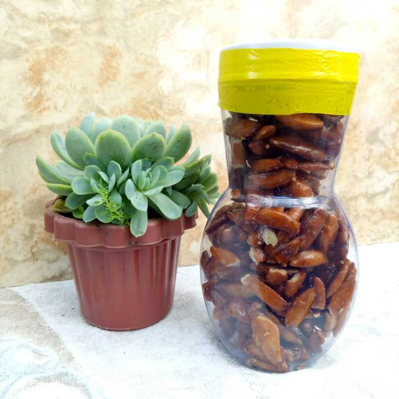 Pasalubong Pili Nuts, Crispy Pili, Product, Delicacies, Baguio Special ...