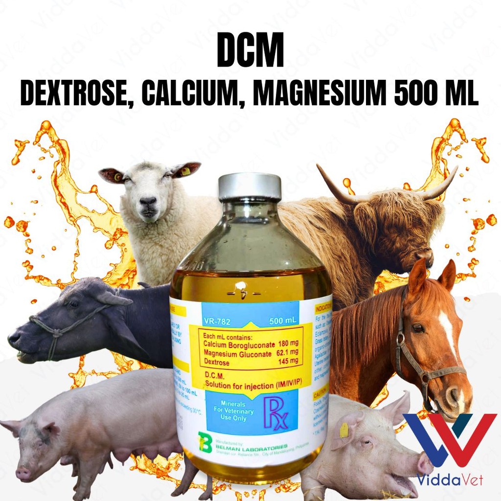 500mL DCM Inj. Solution Belman Veterinary Use Only | Shopee Philippines