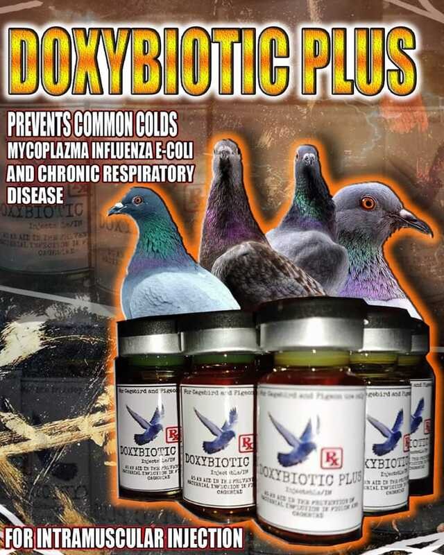 doxybiotic plus mabisang gamot sa one eye colds/halak sipon iuenza,CRD ...
