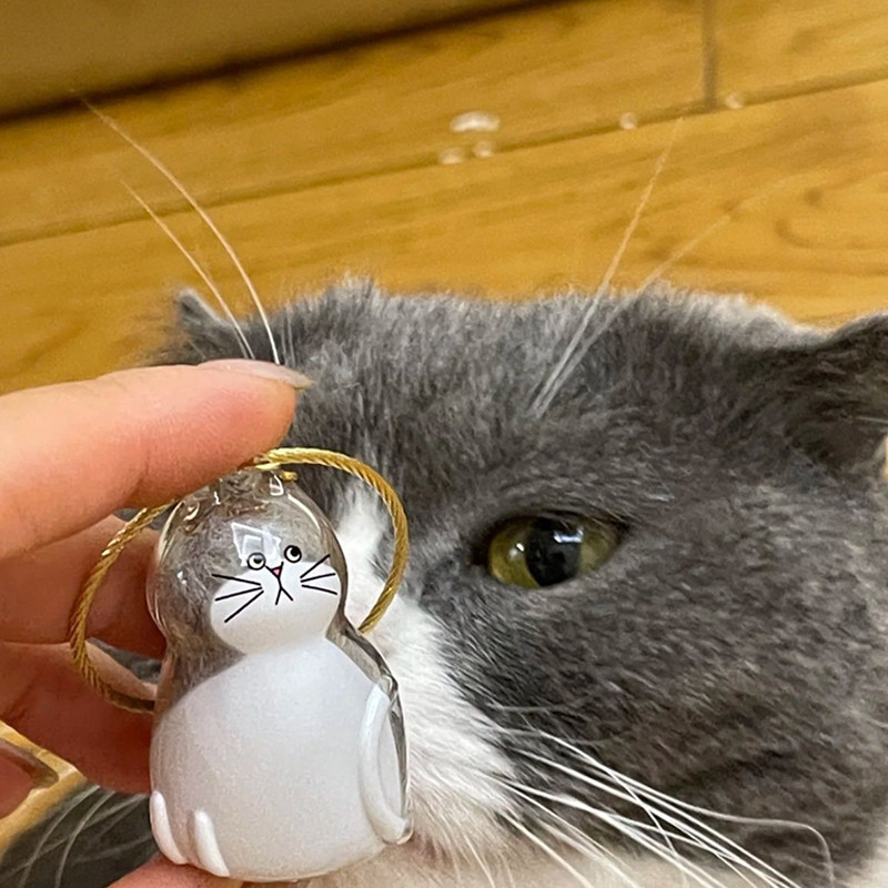 Dog Hair Storage Box Keychain DIY Transparent Cat Hair Storage Box ...