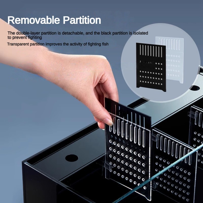 Betta Fish Tank Glass Double Grid Back Filter Thai Betta Fish Tank ...