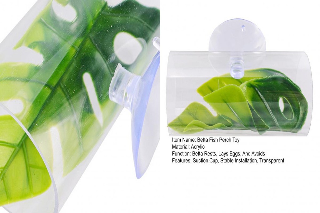 de♡ Acrylic Betta Fish Perch Bettas Aquarium Tunnel Acrylic Betta Fish ...