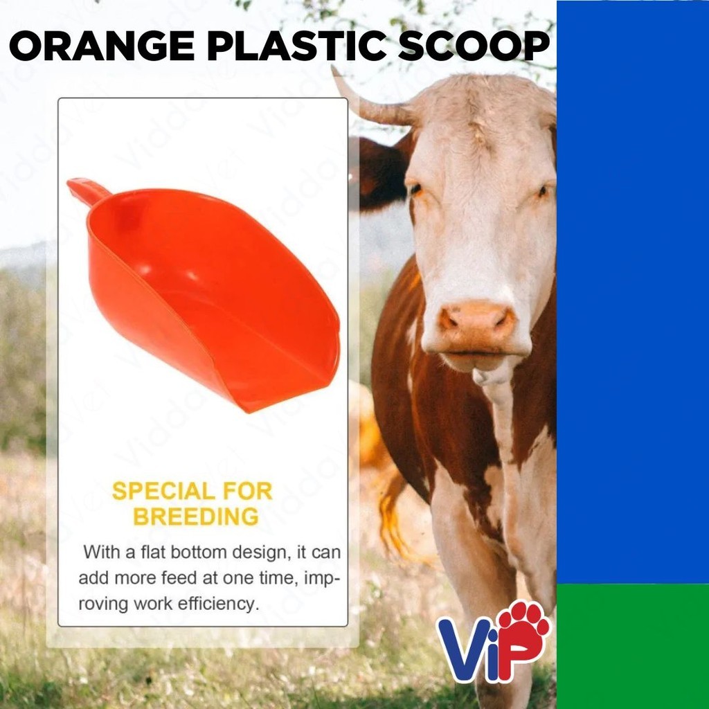 Feeding Poultry Food Scoop Animal Husbandry Equipment Feed Large ...