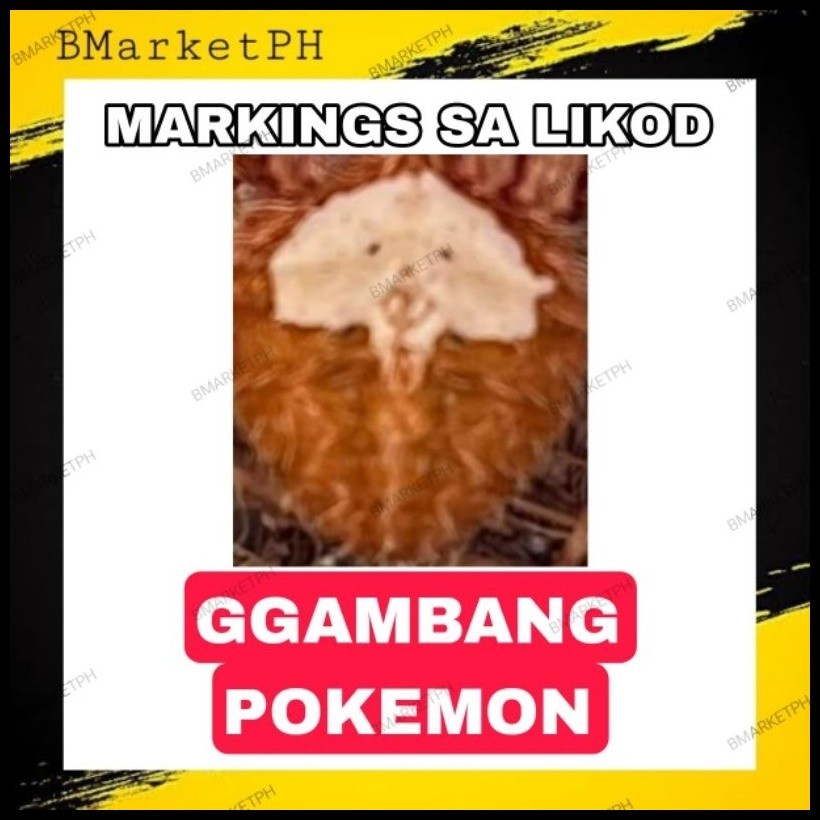 GAGAMBA PANG BATA AT PANG DERBY ALL SIZE ( Fast Delivery ) | Shopee ...