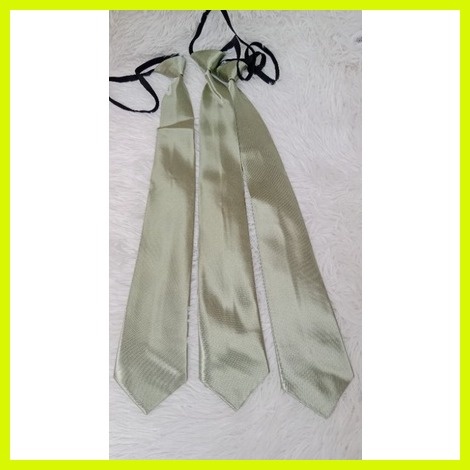 sage green necktie for wedding/formal | Shopee Philippines