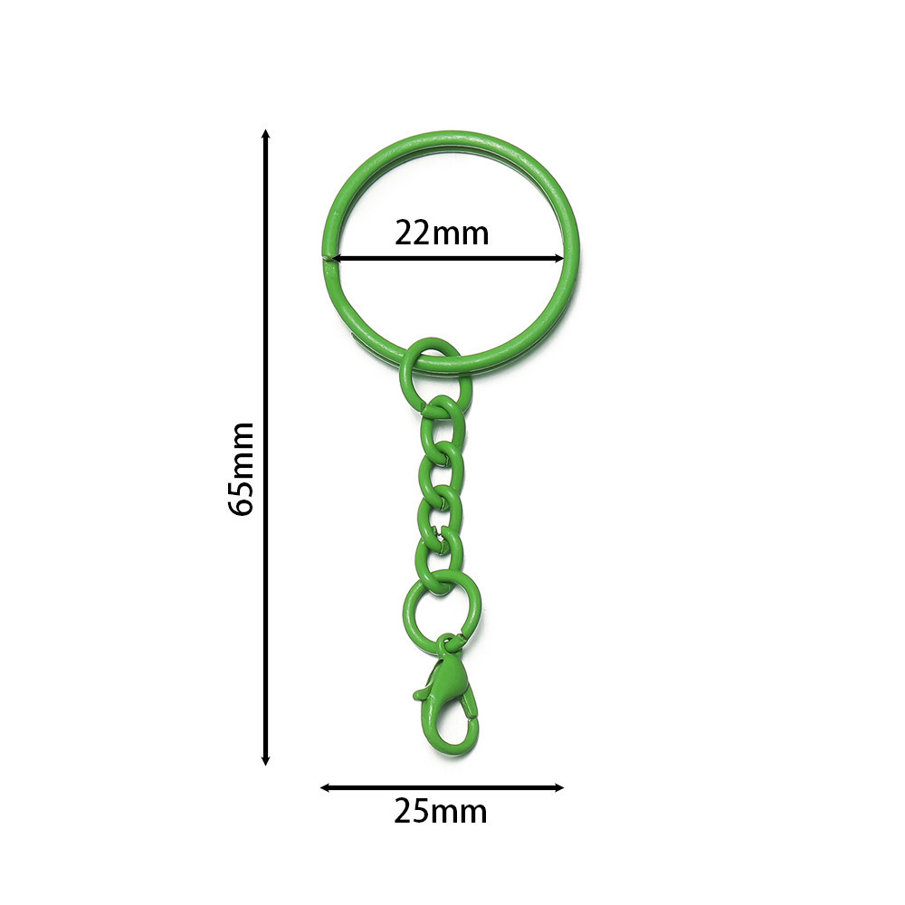 St. kunkka 5pcs/10pcs Iron Color Paint Keychain Lobster Clasp with Key ...