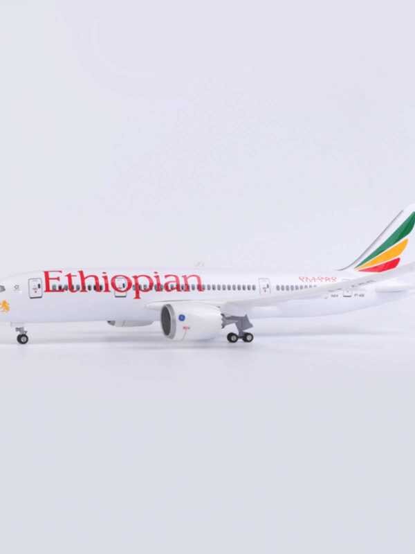 Tt Airlines Airplane Model With Lights 787 Simulation Civil Aviation ...