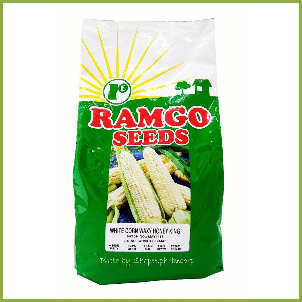 ☀️ Ramgo Seeds Corn White Waxy Honey 1 Kilo Pack KECORP_S1 | Shopee ...