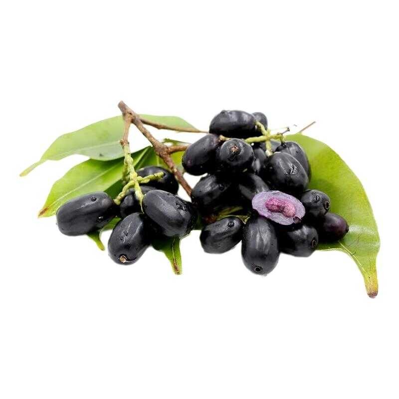 7-Pc Pack Of Java Plum/Lomboy Seeds For Planting Coated With Blue ...