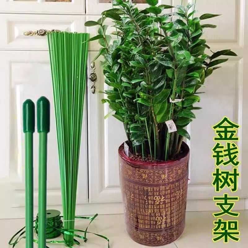 Money Tree Support Pot Stand Indoor Fruit and Flower Plant Garden ...
