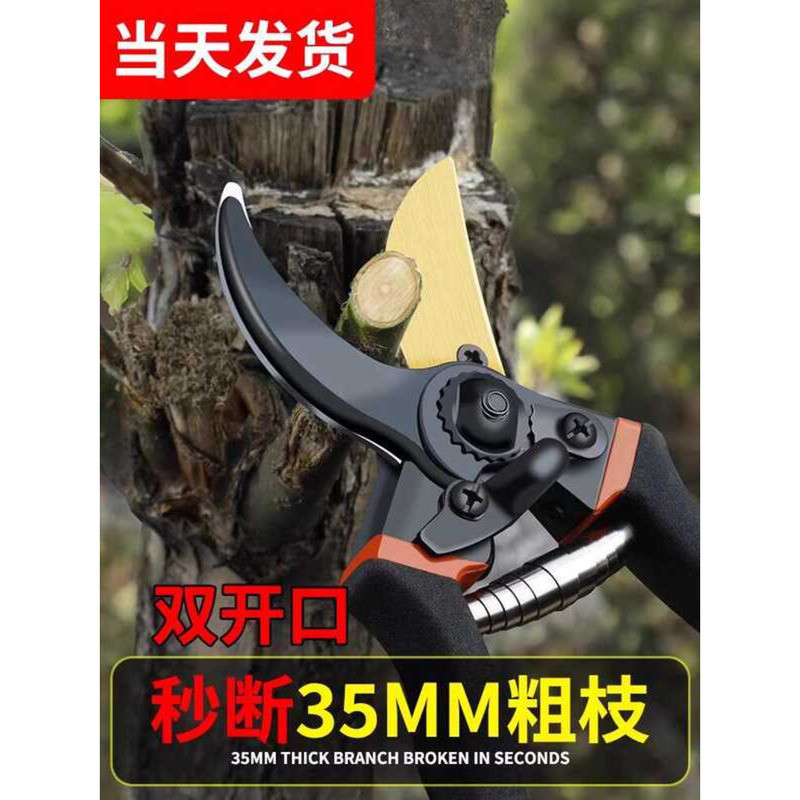 German Precision Craft Shears for Branches, Pruning Fruit Tree Shears ...