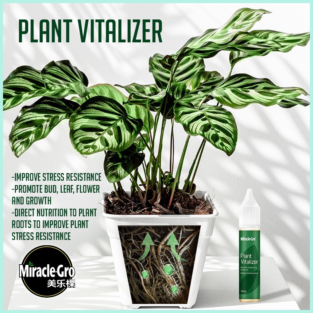 Miracle-Gro Plant Vitalizer Organic Vitalizer Liquid 10ml 60ml | Shopee ...