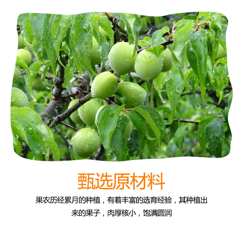 XUPAI-Japanese plum house, honey flavor, sweet and sour plum cake ...