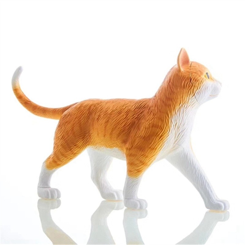 Animal Organ 4D Cat Intelligence Assembg Toy Teaching Anatomy Model DIY ...