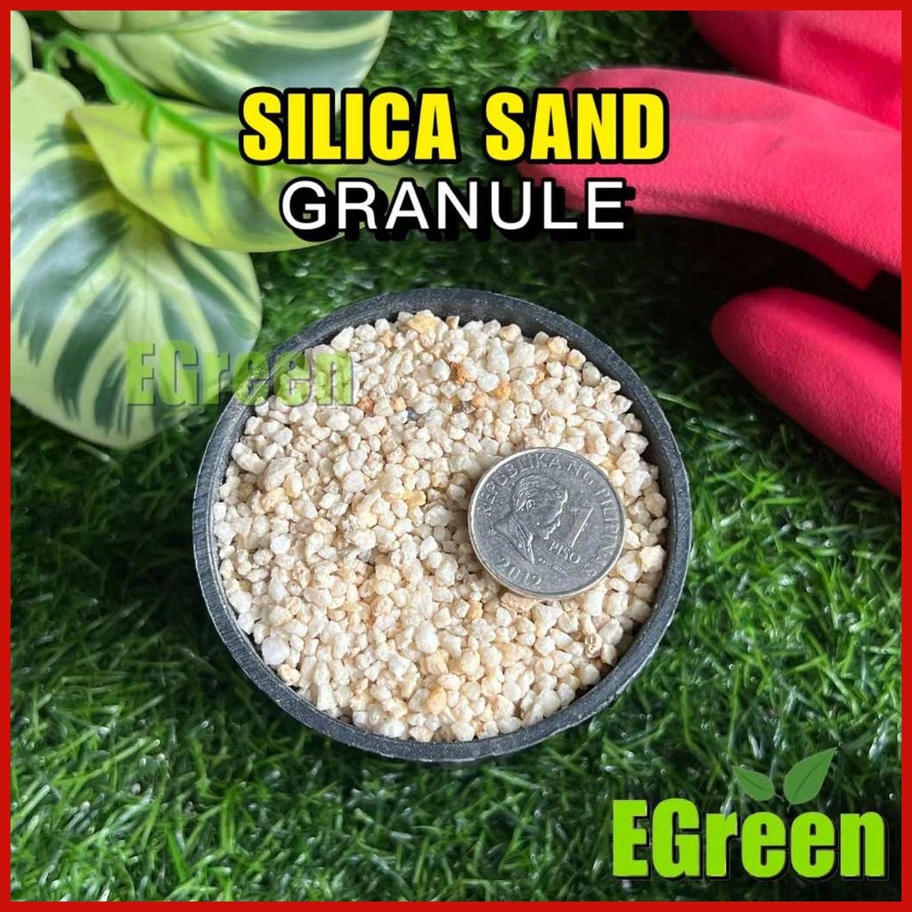 ∆ Silica Sand - 1kilo | Aquarium Fine Lava White Sand | Shopee Philippines