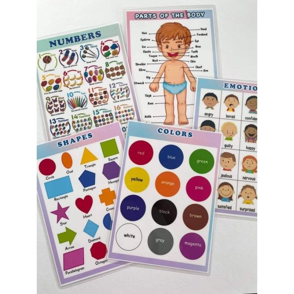 Laminated A4 Size Learning Charts | Shopee Philippines