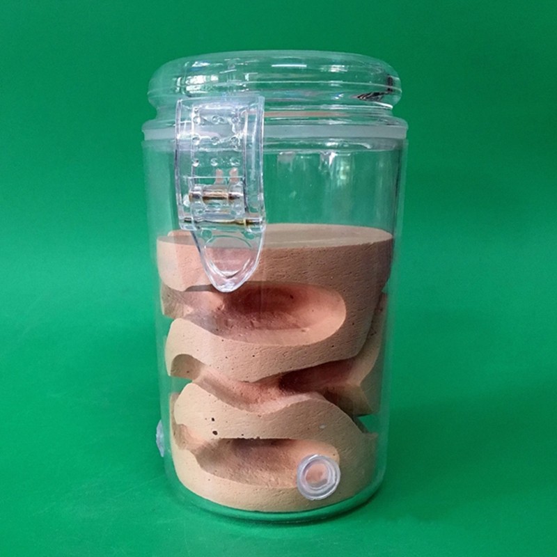 New cup-type nest, expanding ant nest, ant house, ant house, breeding ...