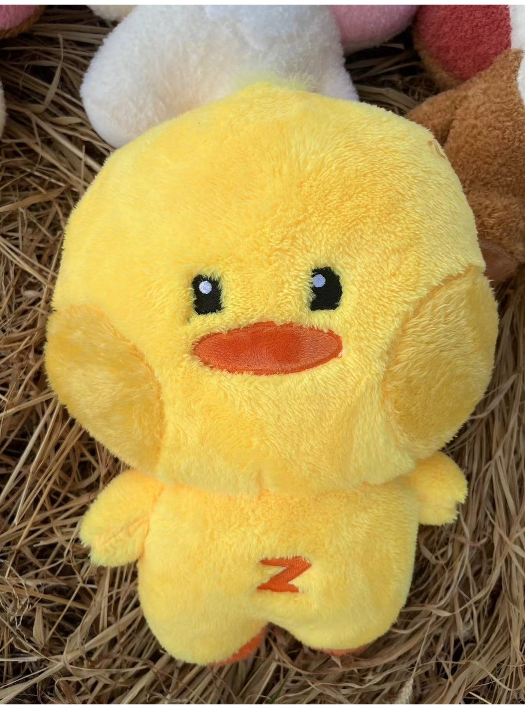 ZEROBASEONE ZB1 Zeroni Stuffed Toys Push Doll | Shopee Philippines